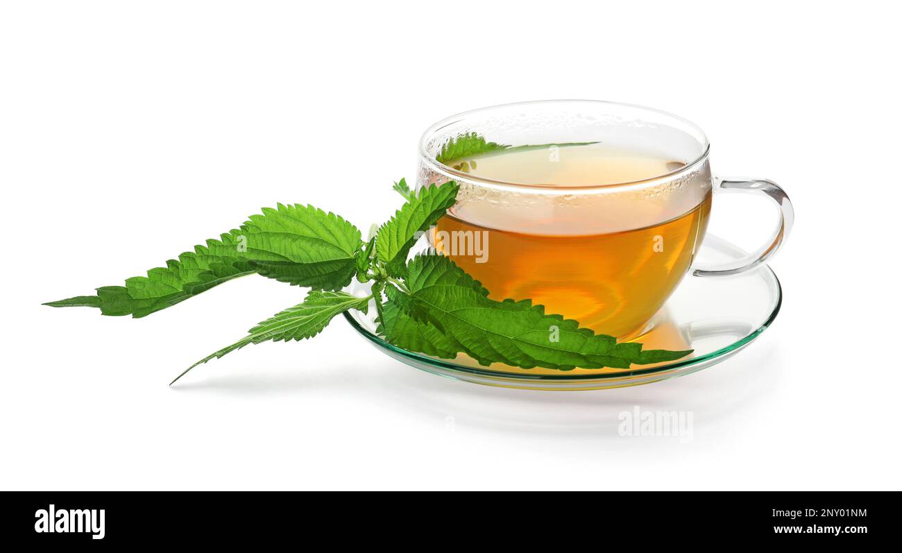 Glass cup of aromatic nettle tea and green leaves on white background ...