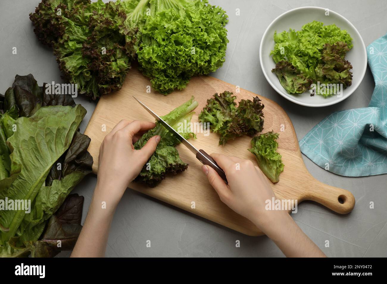 Cutting lettuce garden hi-res stock photography and images - Alamy