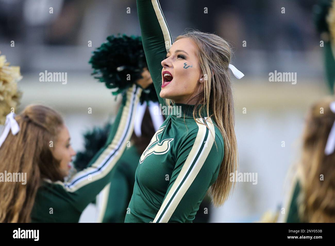 A USF cheerleader performs during a NCAA football game between the ...