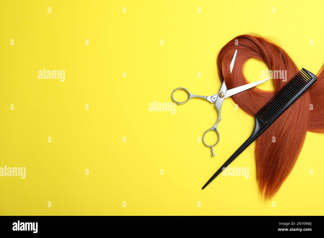 Professional hairdresser scissors, comb, hair strand and space for text ...