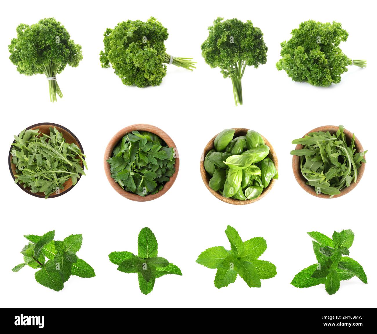 Set with different herbs on white background Stock Photo - Alamy