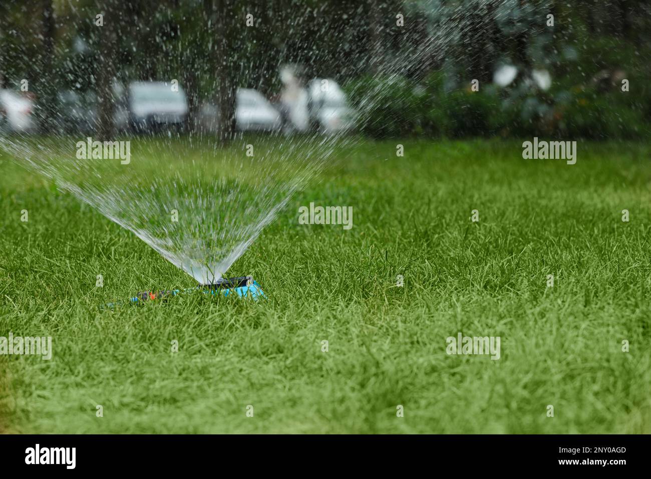 Automatic sprinkler watering green grass in park. Irrigation system ...
