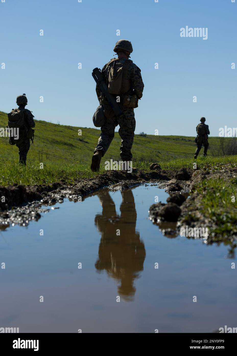A U.S. Marines with Bravo Company, 1st Light Armored Reconnaissance ...