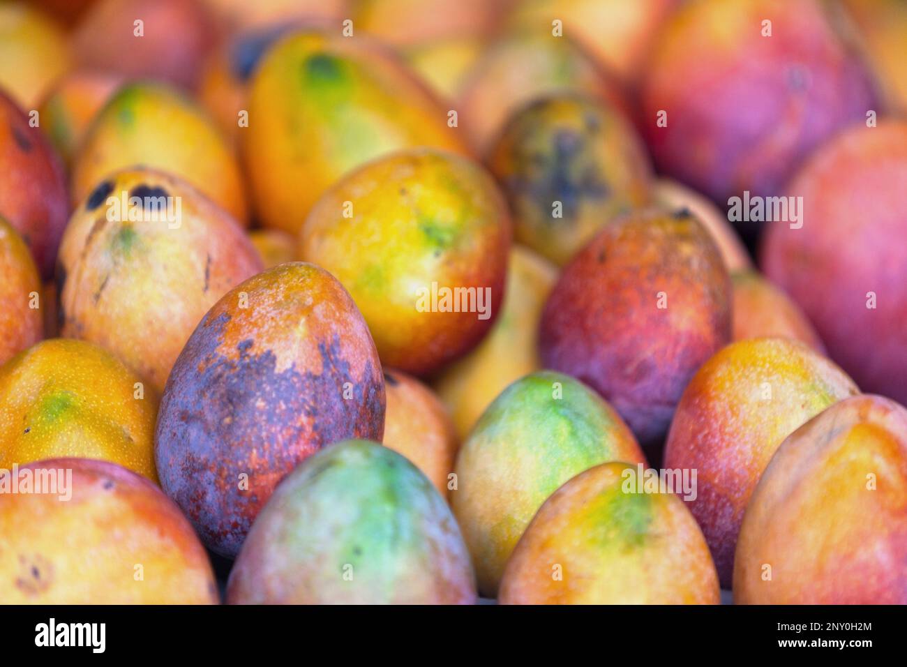 Close-up on a stack of mangoes for sale on a market stall Stock Photo ...