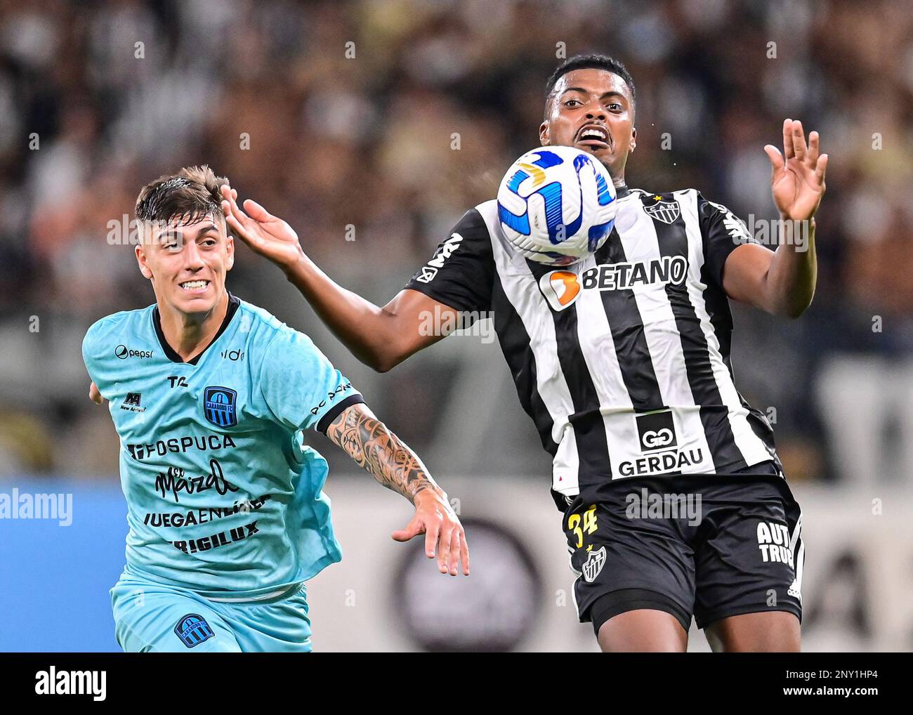 Fase preliminar hi-res stock photography and images - Alamy