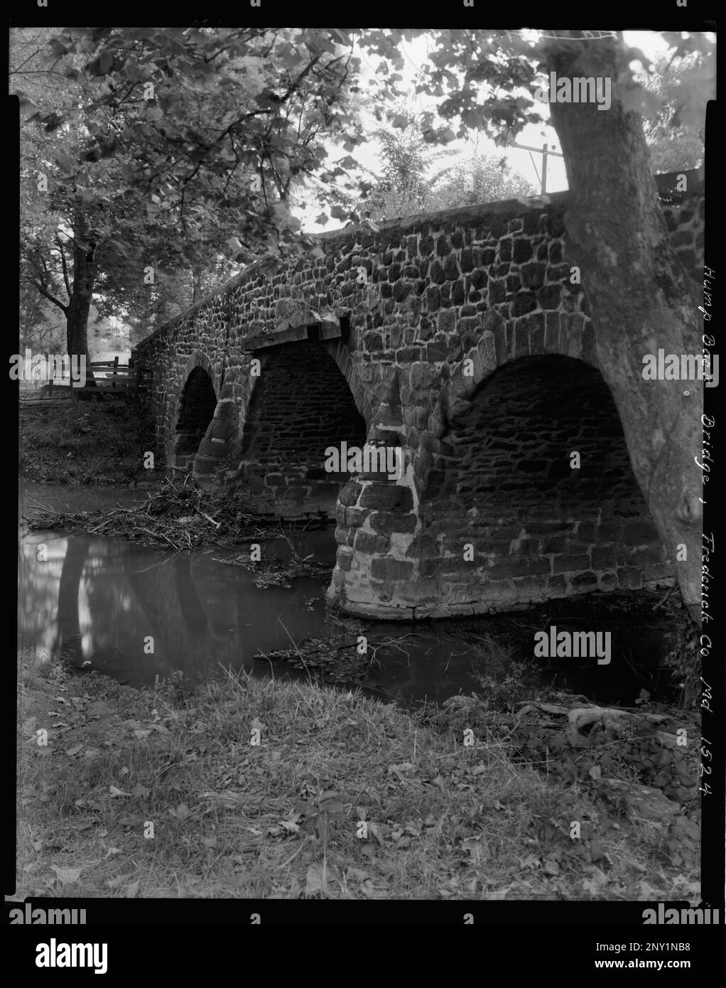 Hump back Black and White Stock Photos & Images - Alamy