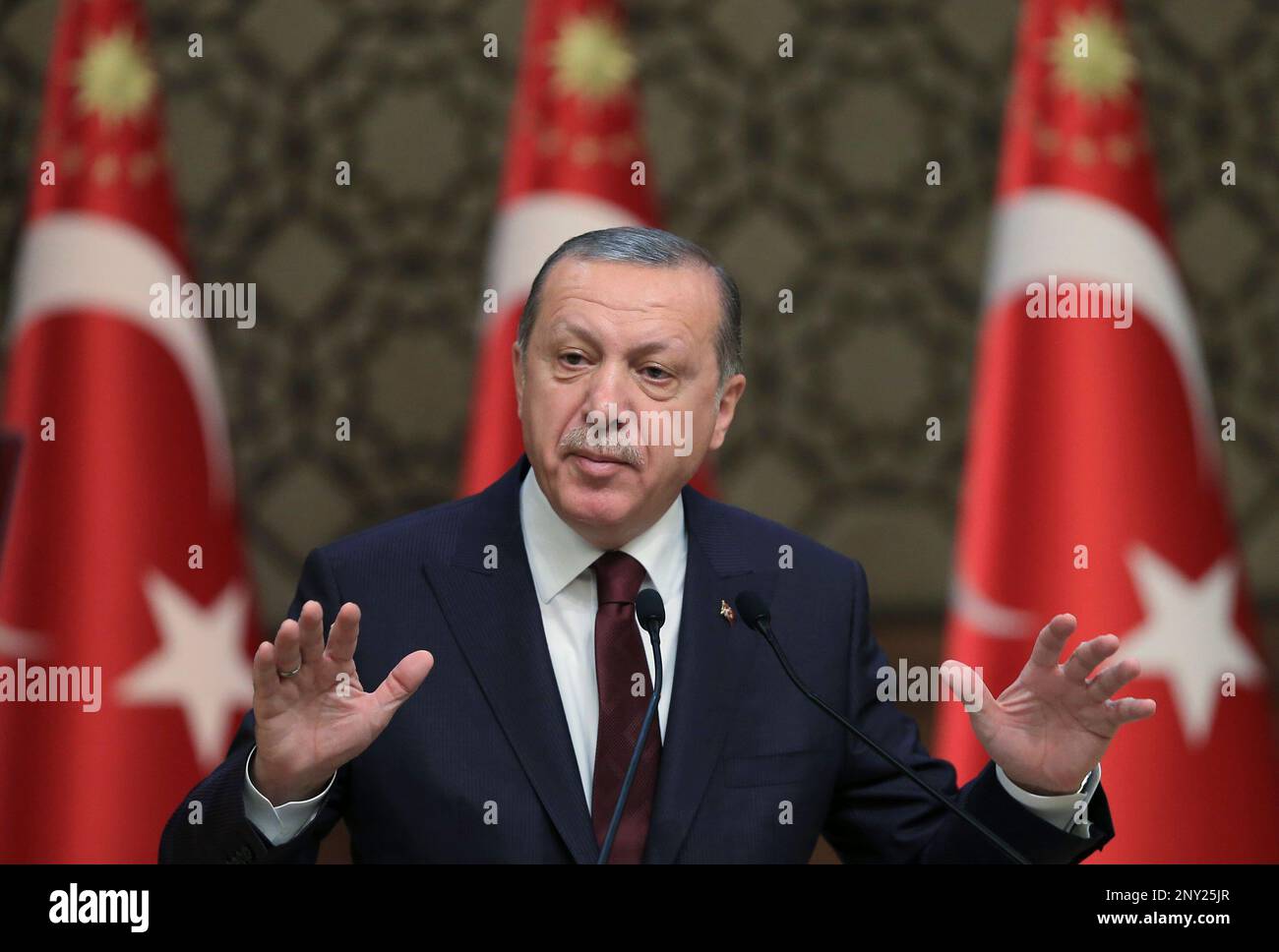 Turkey's President Recep Tayyip Erdogan delivers a speech to a group of ...