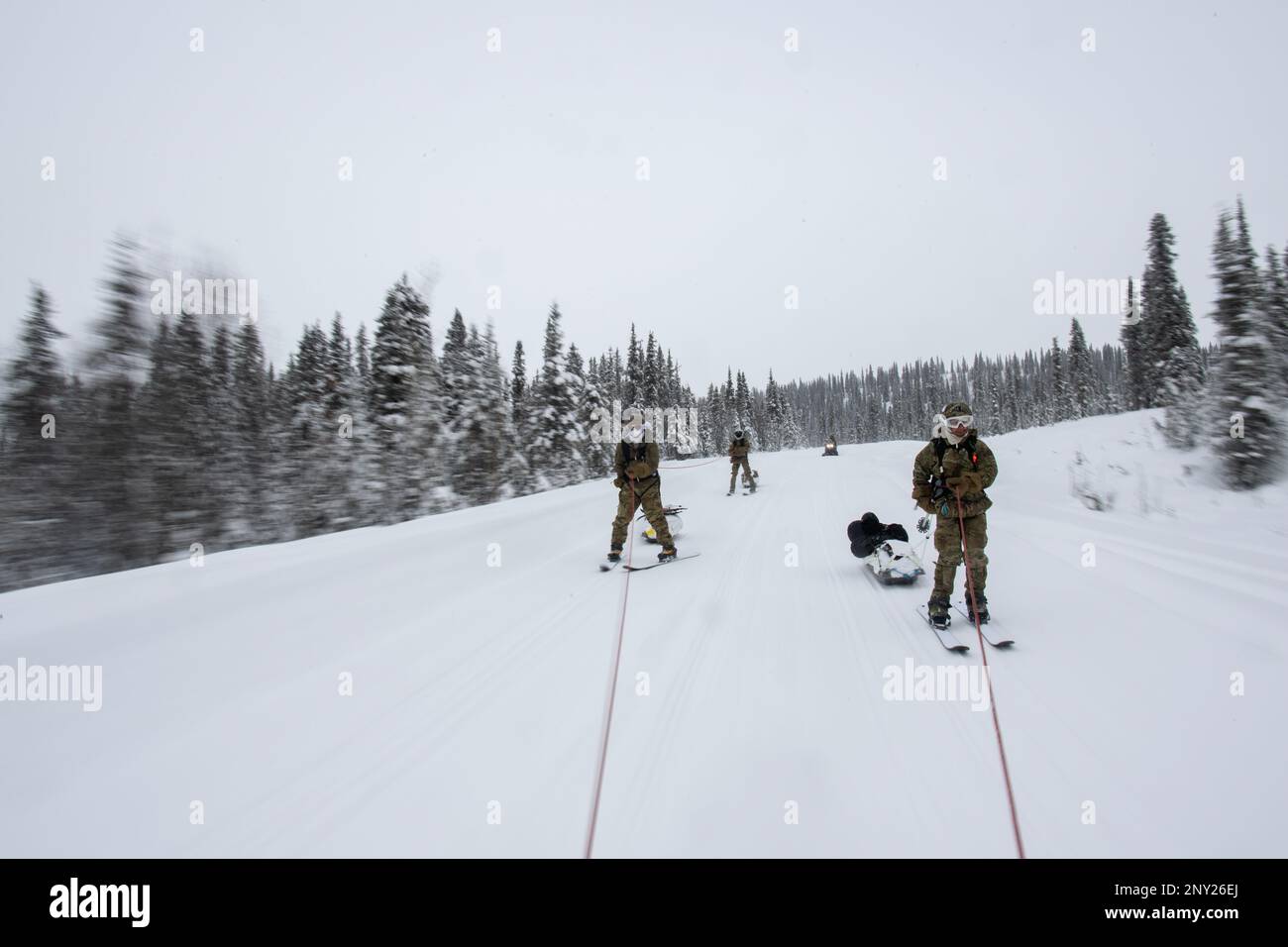 Cross country ski and denali hi-res stock photography and images - Alamy