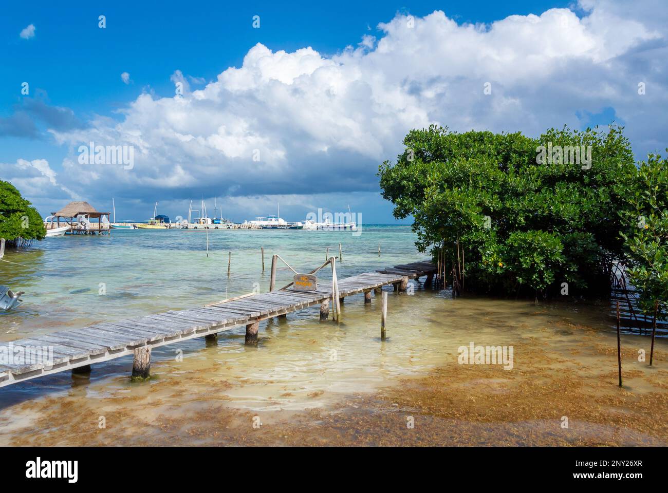 Mahahual, Quintana Roo, Mexico, A jetty on the beach of Mahahual with ...