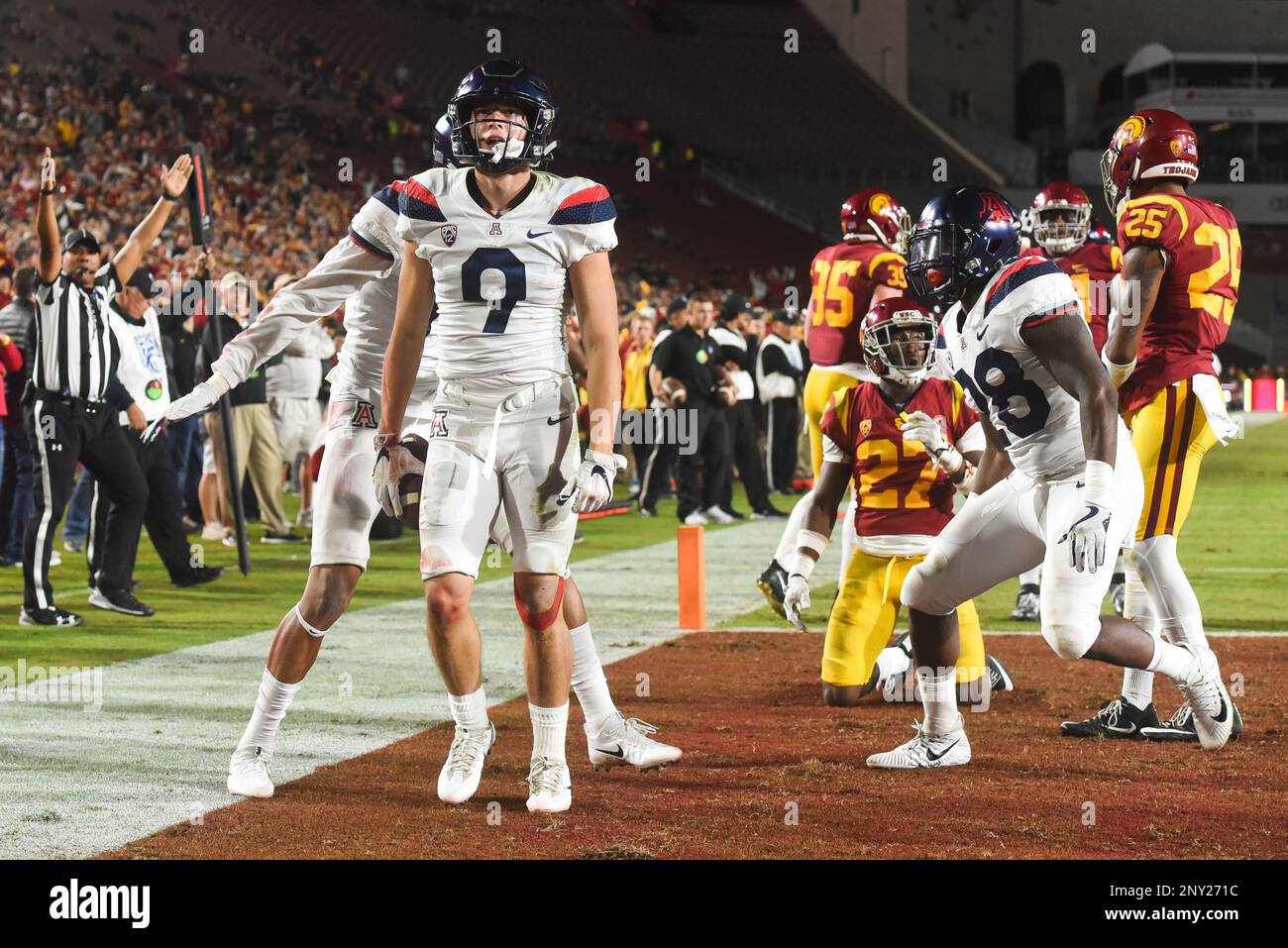 LOS ANGELES, CA - NOVEMBER 04: Arizona-(9) Tony Ellison (WR) catches a ...