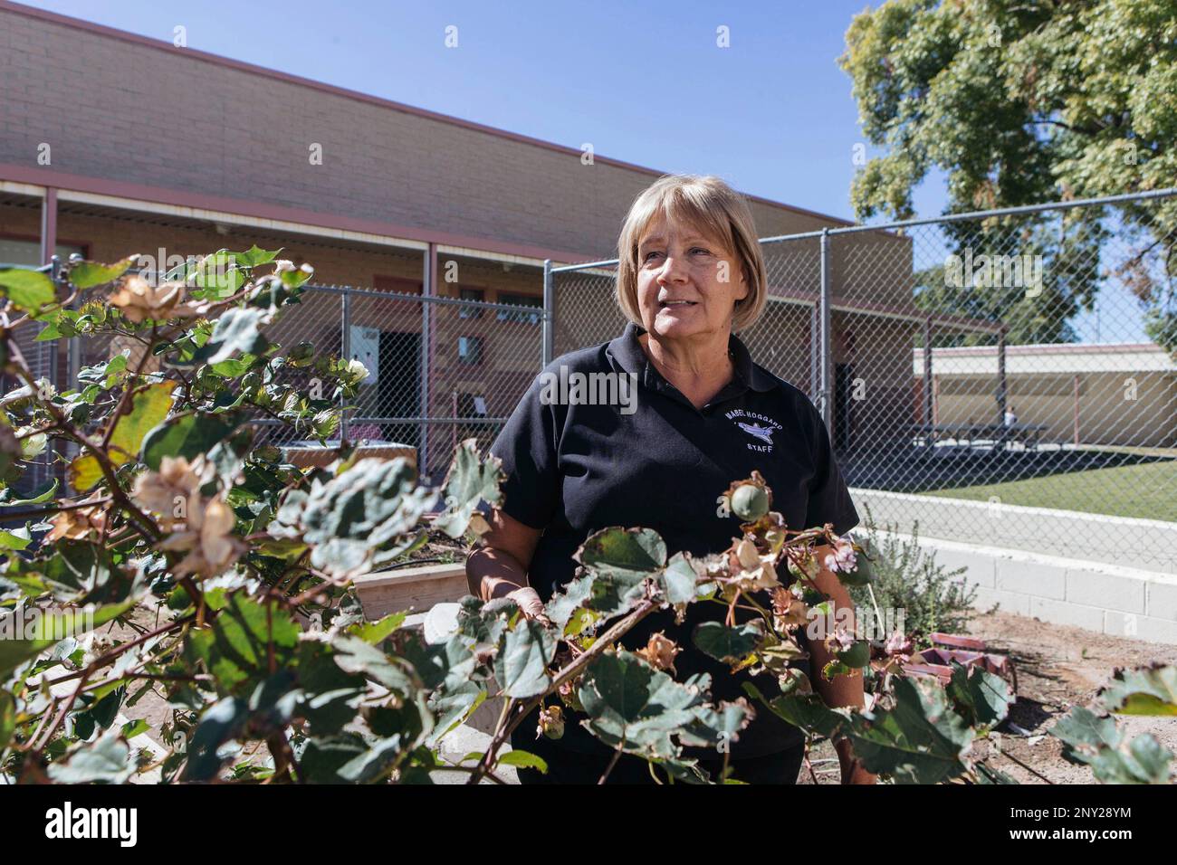 Kim Law during an inside look a farm and animal program at Mabel ...