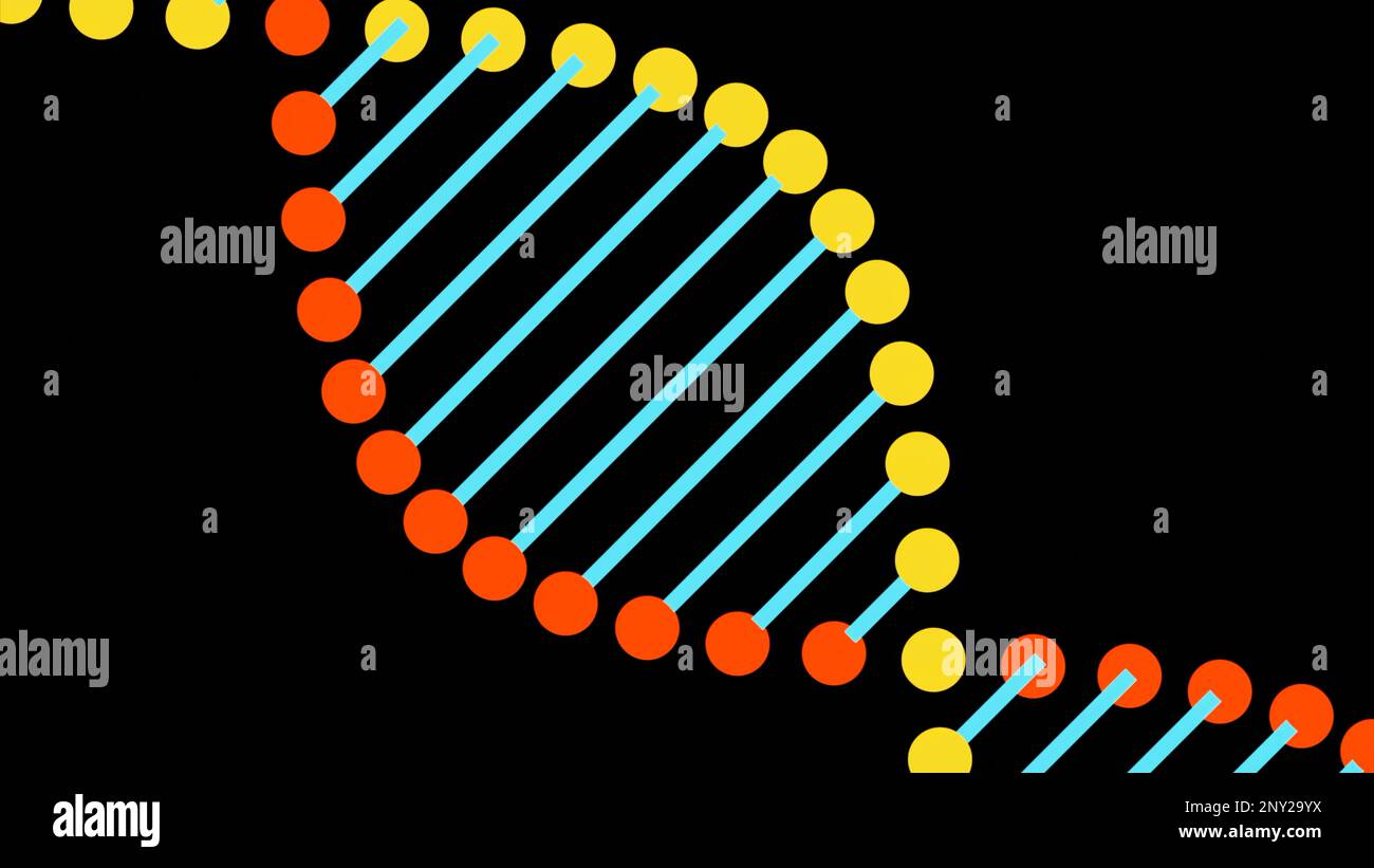 Simple Animation Of Moving Dna Design Beautiful Rotating Dna