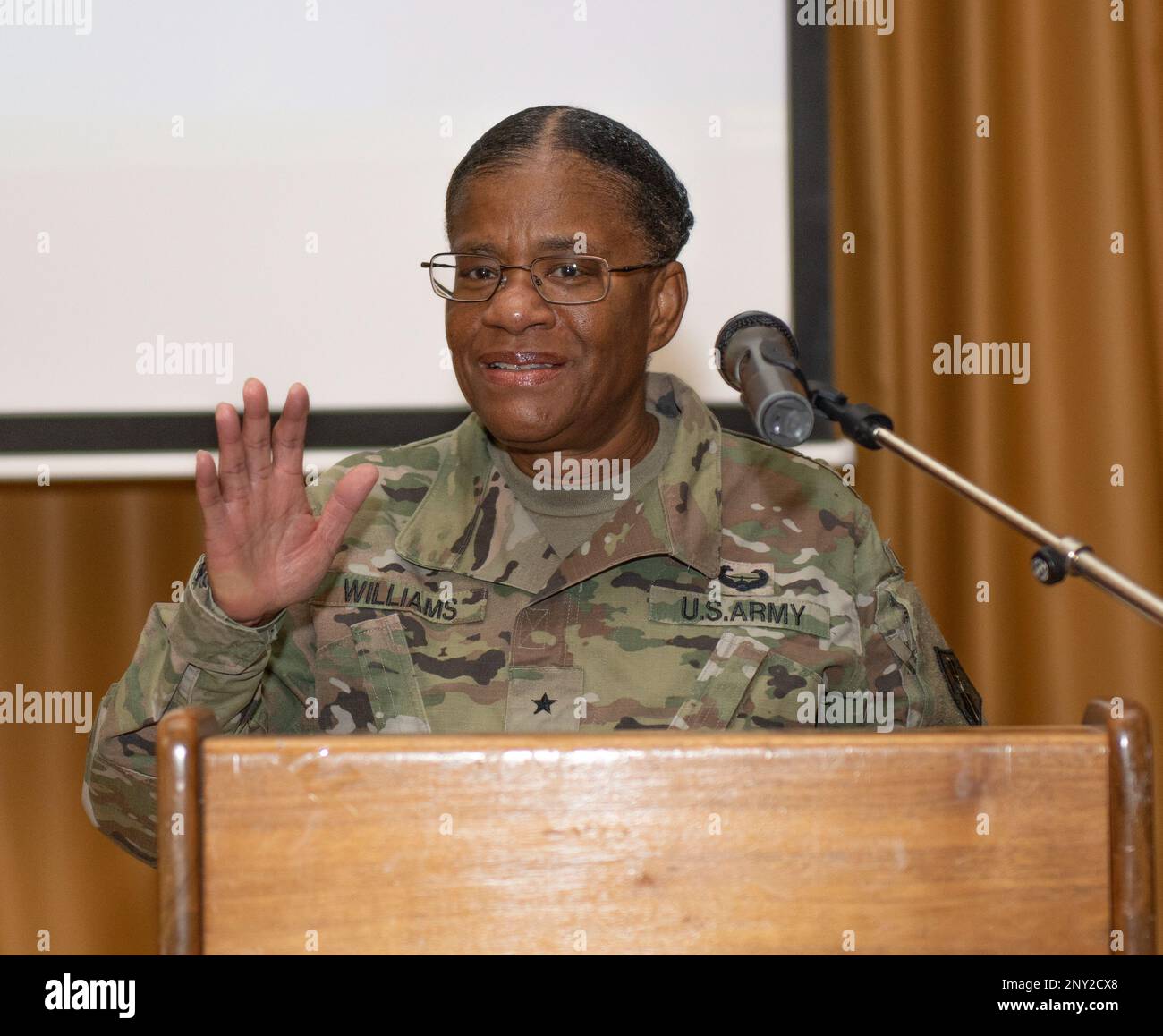 U.S. Army Reserve Brig. Gen. Wanda N. Williams, commander of the 7th ...
