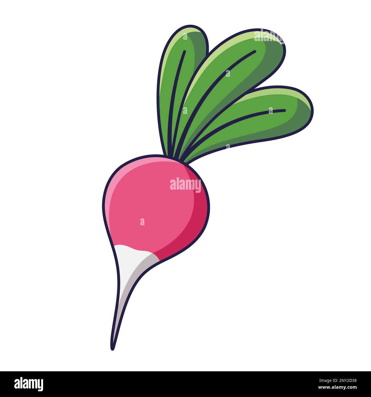 Cute Radish cartoon icon illustration. Food vegetable flat icon concept ...