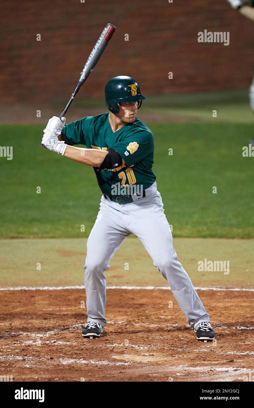 Siena Saints left fielder Alex Tuccio (20) at bat during a game against ...