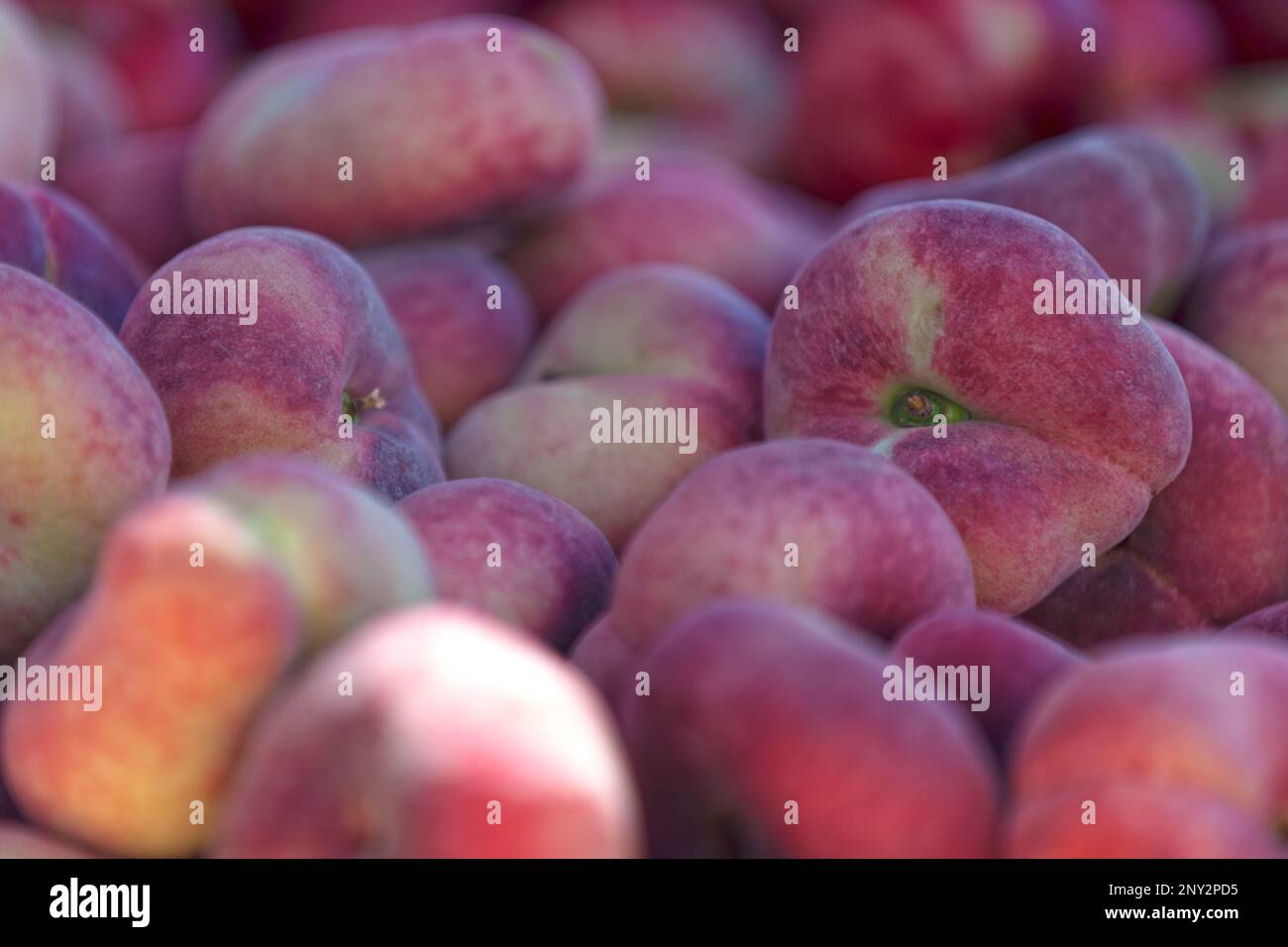 Full frame close-up on a stack of pan tao (Saturn peach) for sale on a ...