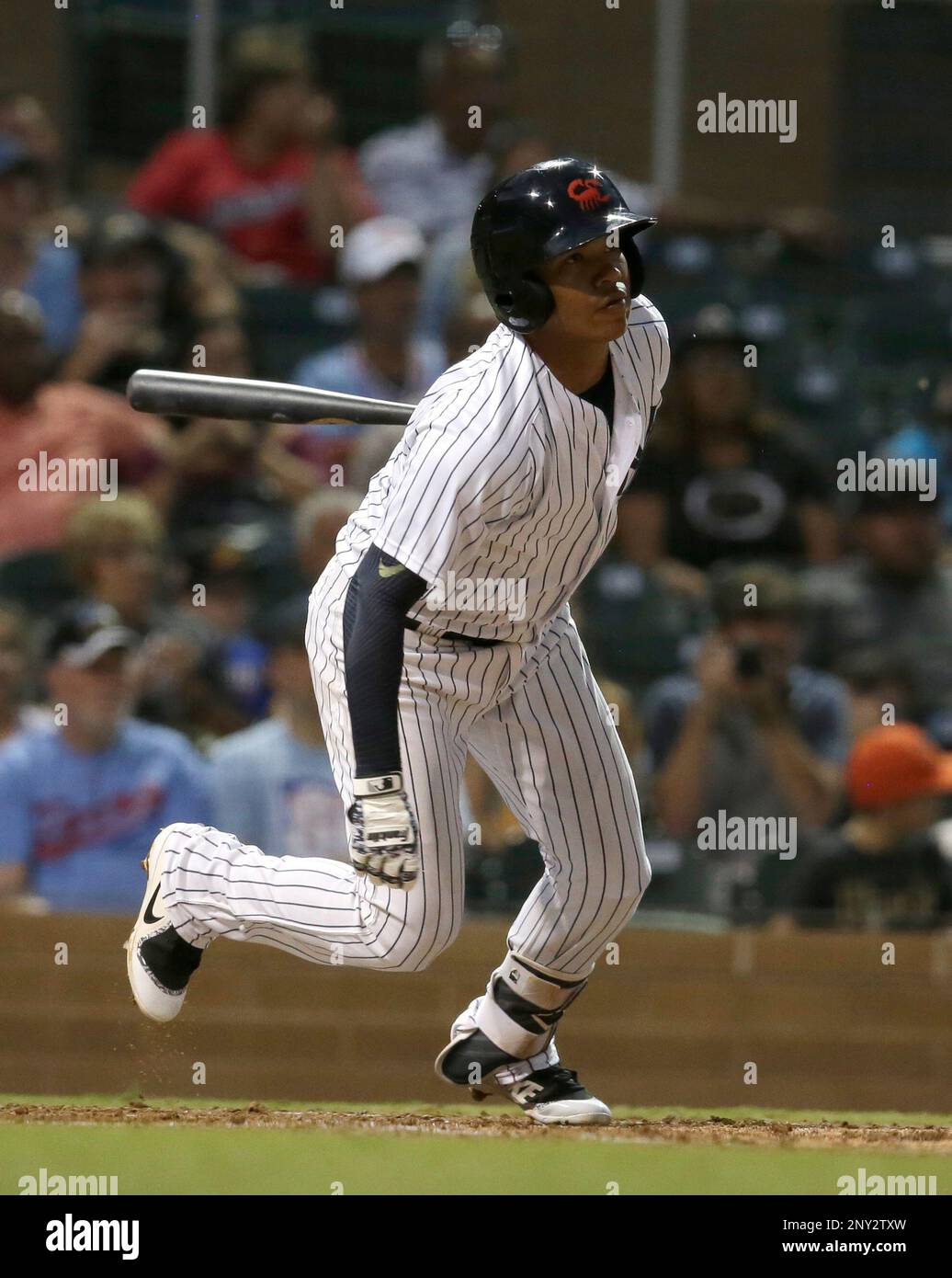 New York Yankees Thairo Estrada during the MLB Fall Ball league All ...