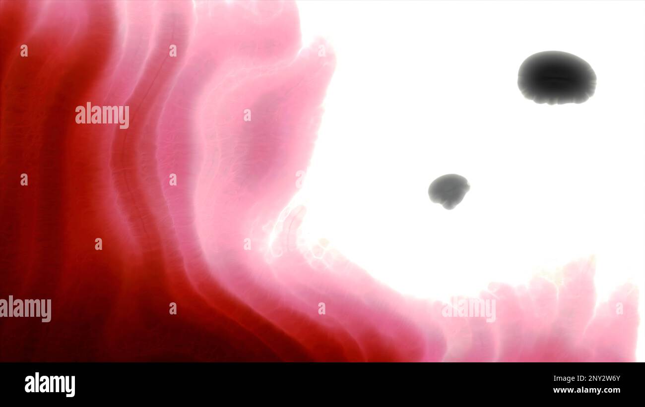 Shapes light leaks transition overlay hi-res stock photography and ...