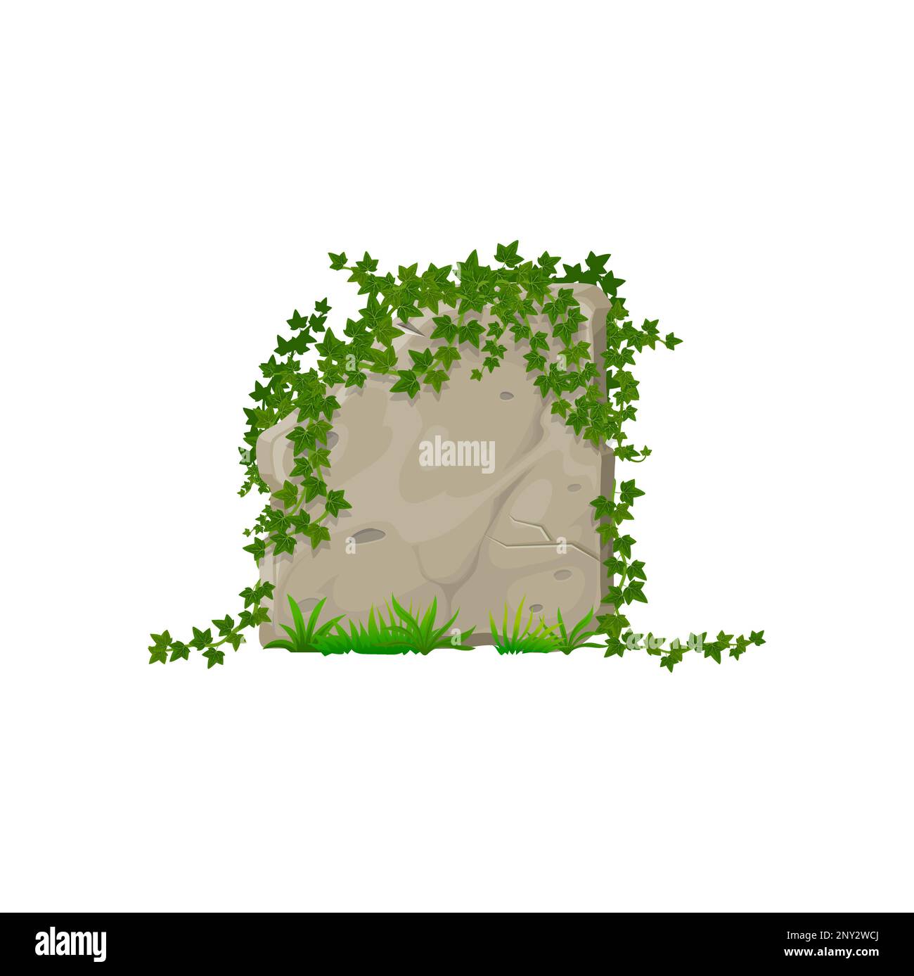 Cartoon stone board with ivy leaves, floral climbing decoration. Vector ...