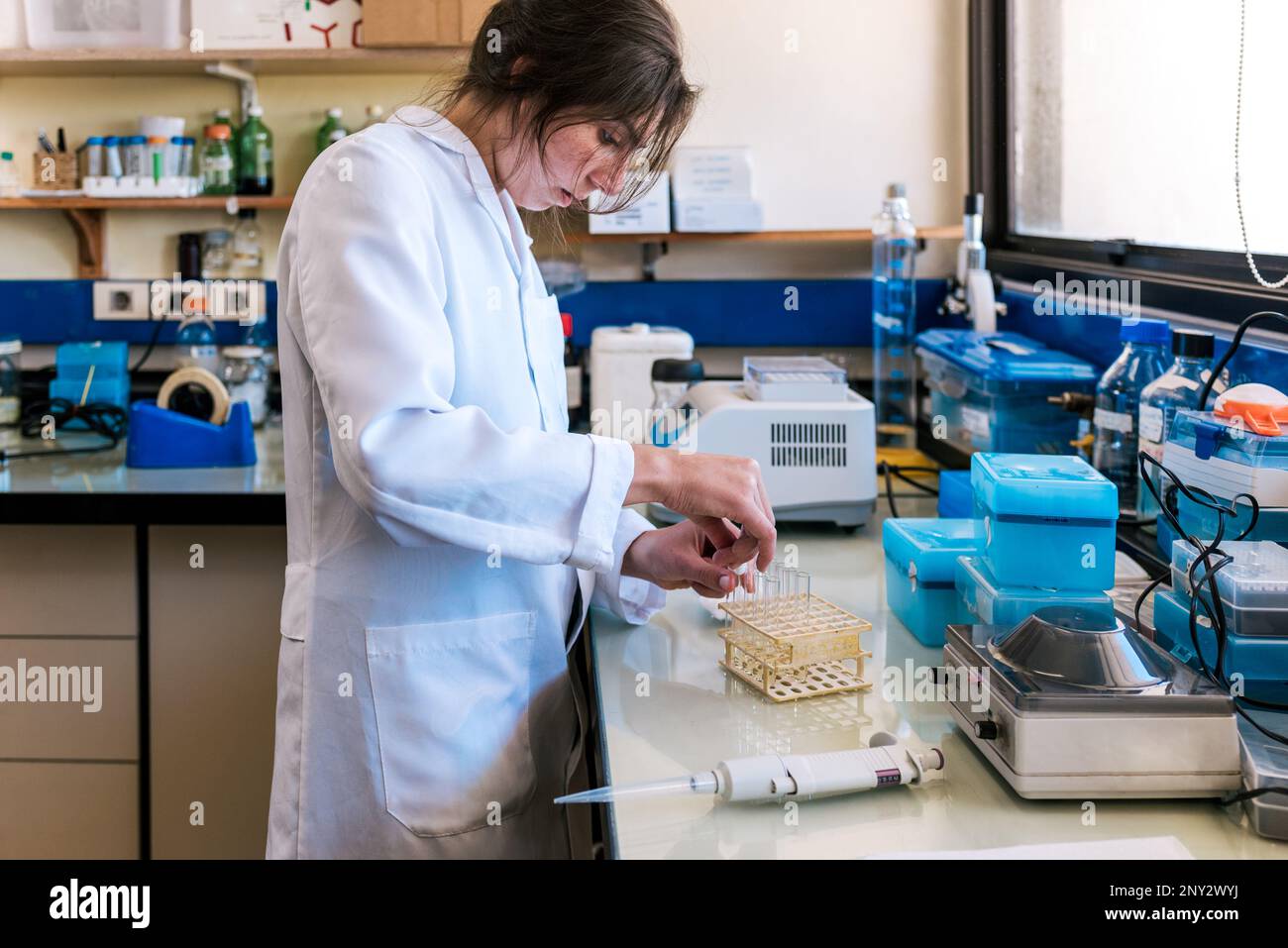 Female Scientist Working in Laboratory Stock Photo - Alamy
