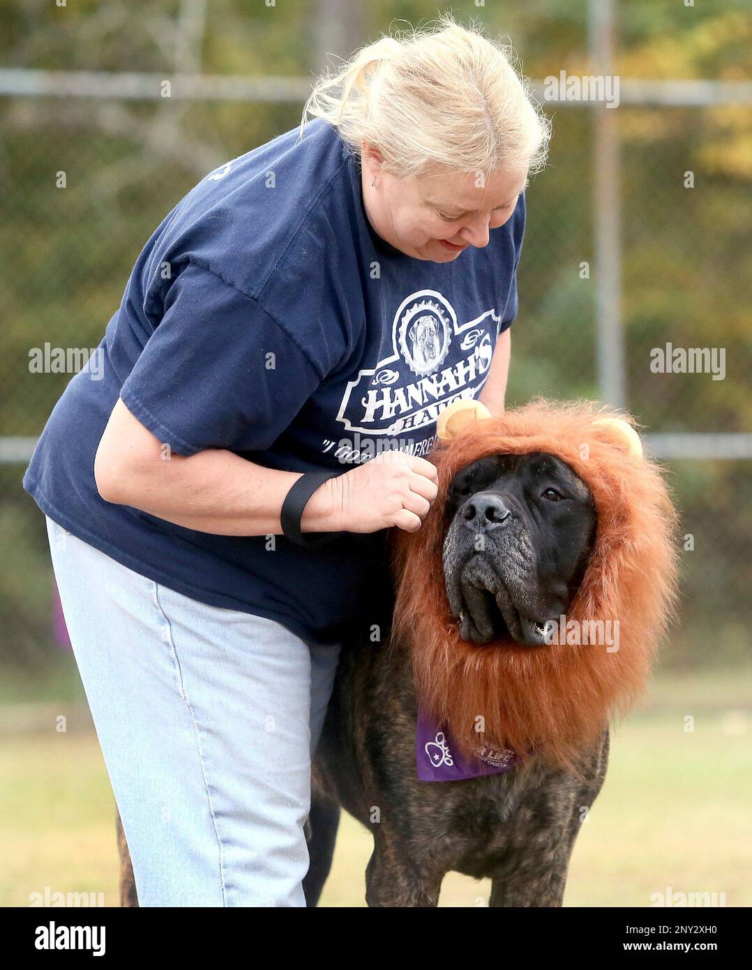 Fran Cardin adjusts the lion's mane costume on Duke, her 5-year-old ...