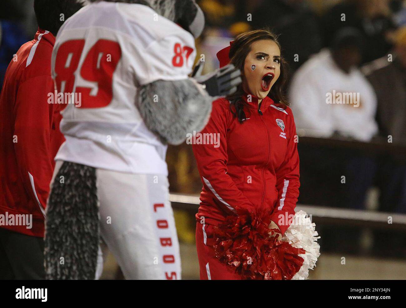 A New Mexico Lobos cheer leader yawns during their game against the ...