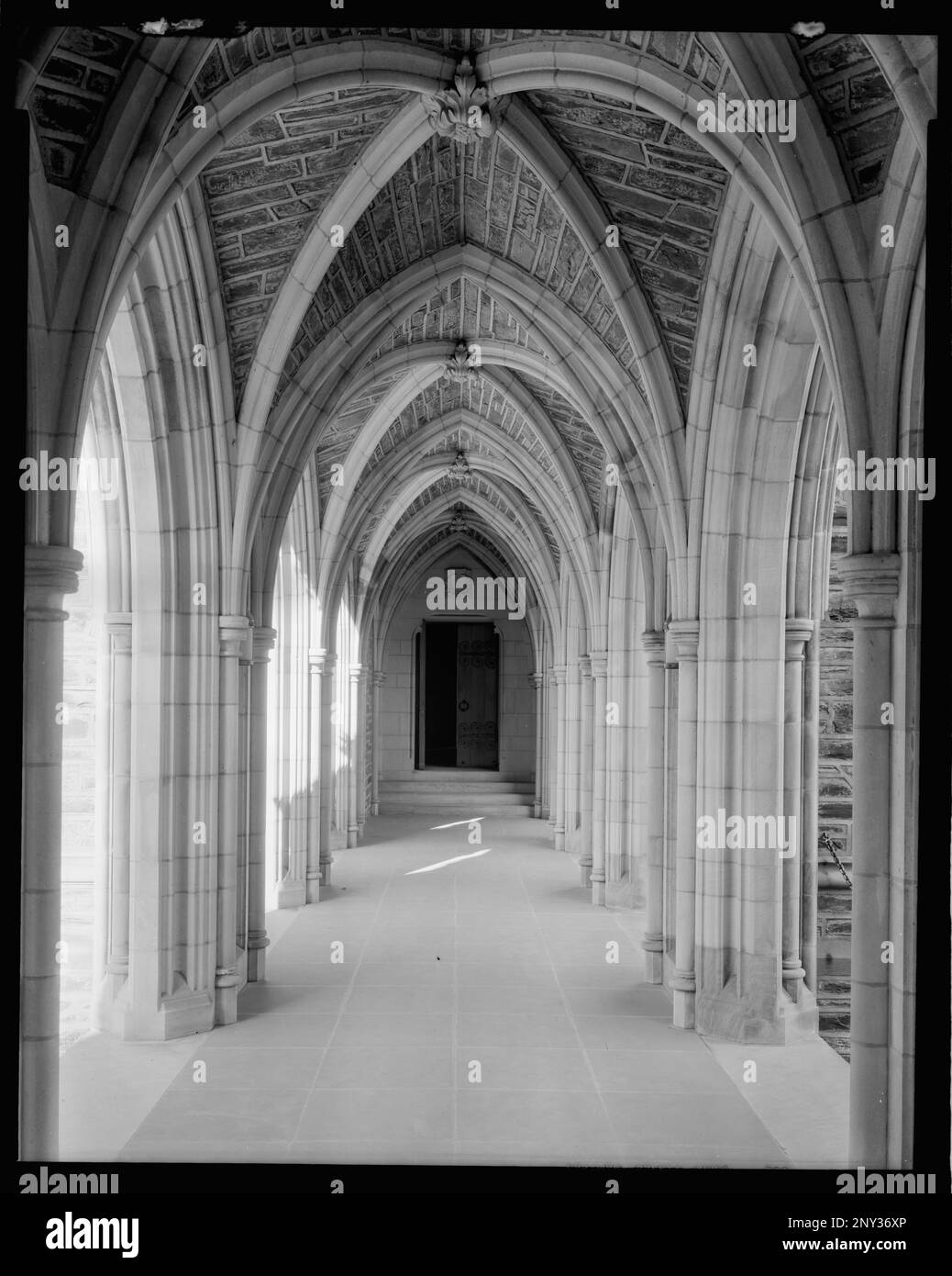 Duke University, Durham, Durham County, North Carolina. Carnegie Survey ...