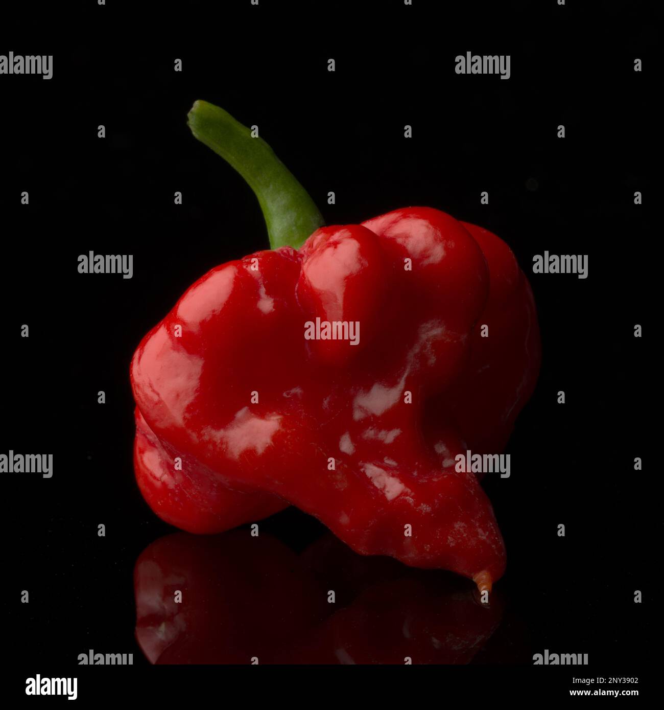 October 18, 2017 - Santa Ana, California, U.S - The Carolina Reaper is ...