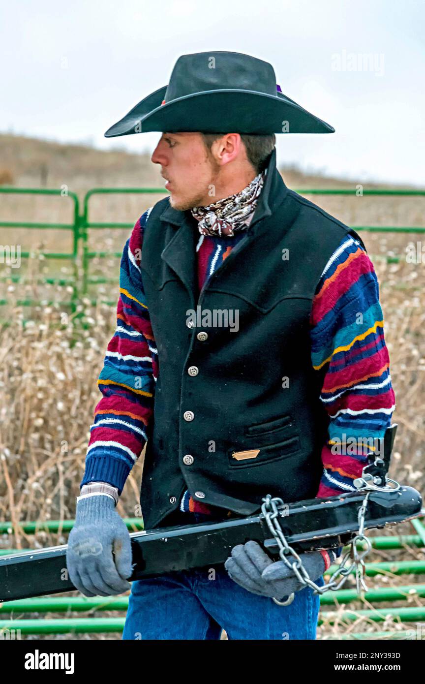 In this Oct. 21, 2017 photo, Damian Wellman lifts the tongue of a ...