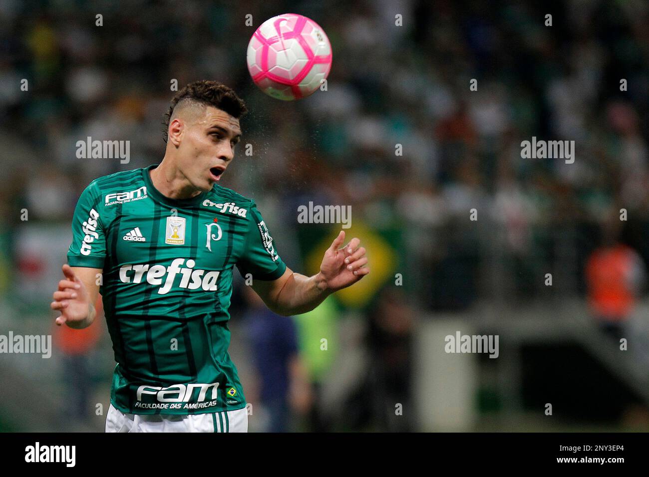 SP - Sao Paulo - 10/30/2017 - Brazilian 2017 - Palmeiras X Cruzeiro ...