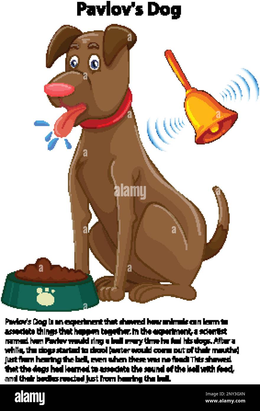 Pavlov's Dog Experiment Vector illustration Stock Vector Image & Art ...