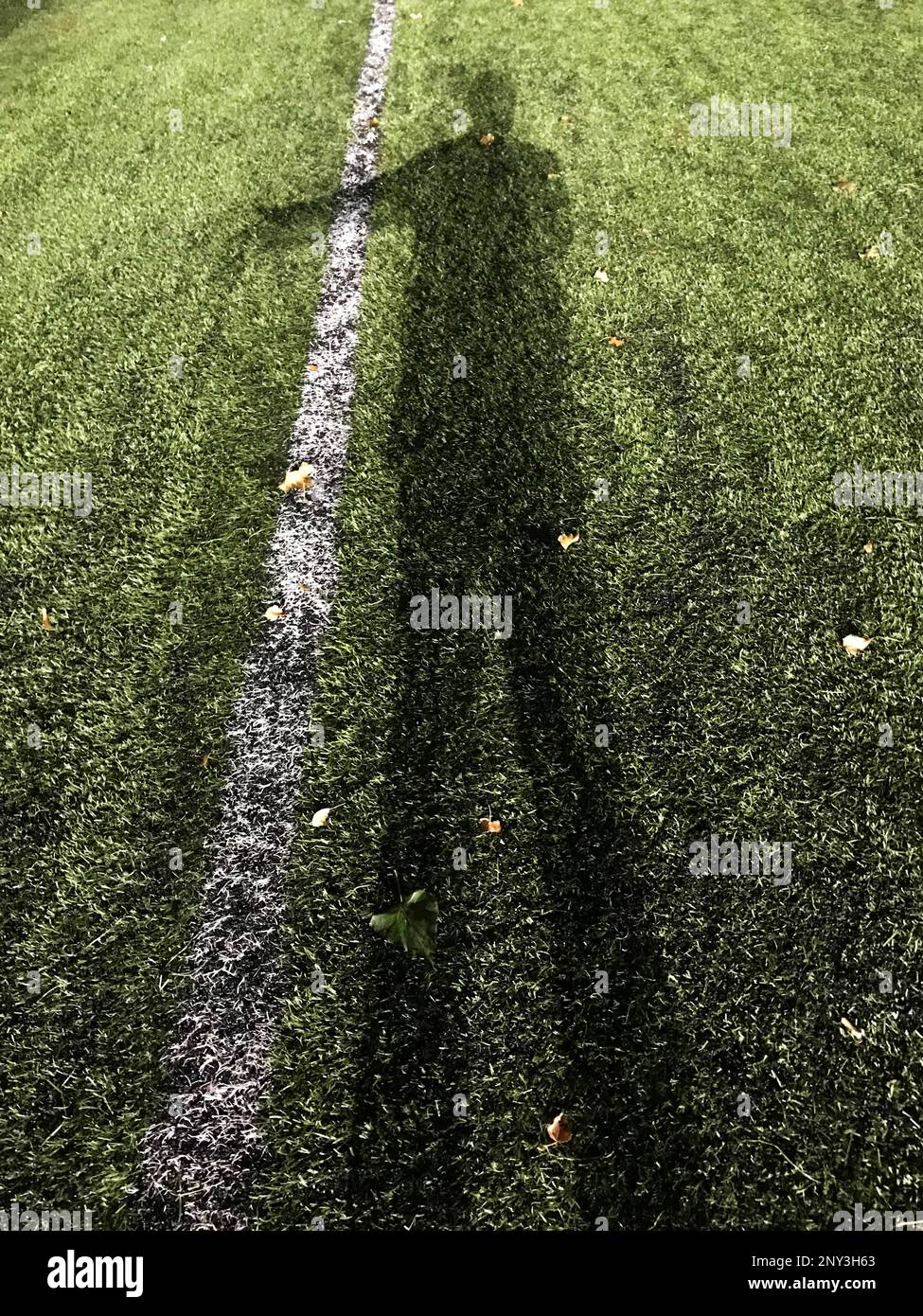 A shadow on the football field Stock Photo - Alamy