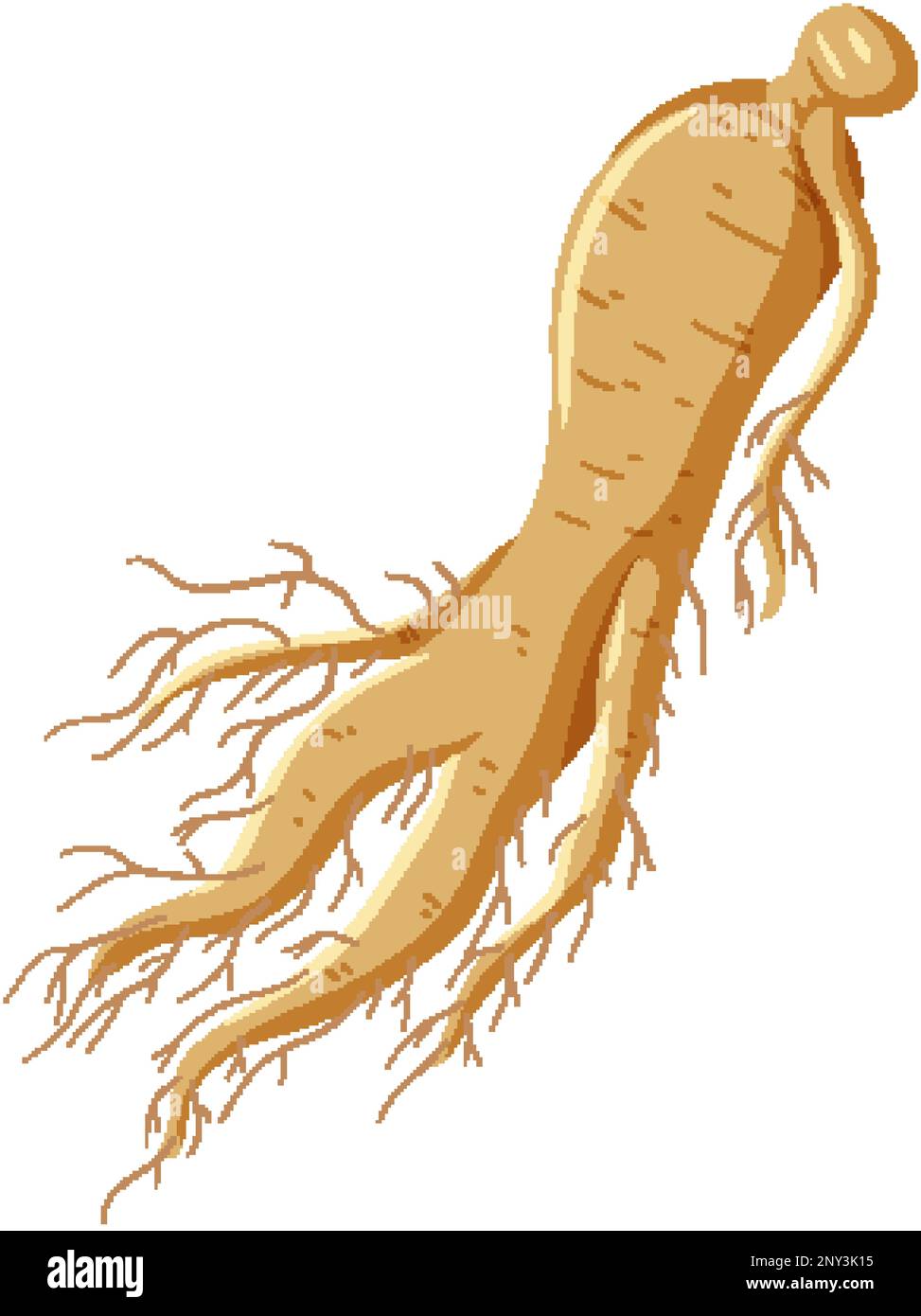 Ginseng Plant Flat Design Vector illustration Stock Vector Image & Art ...