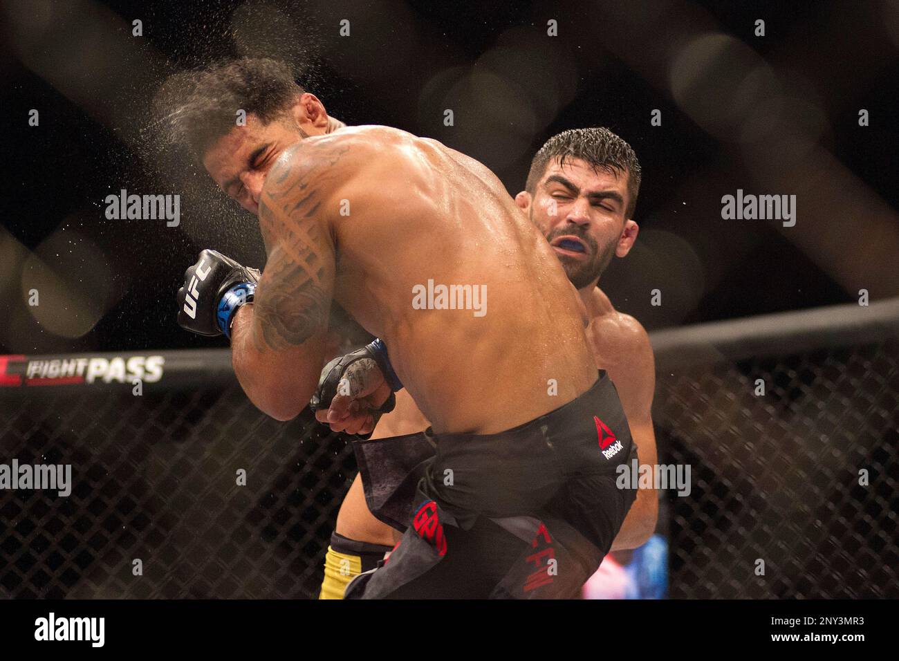 SP - Sao Paulo - 10/28/2017 - UFC S o Paulo - Fighters Elizeu Capoeira ...