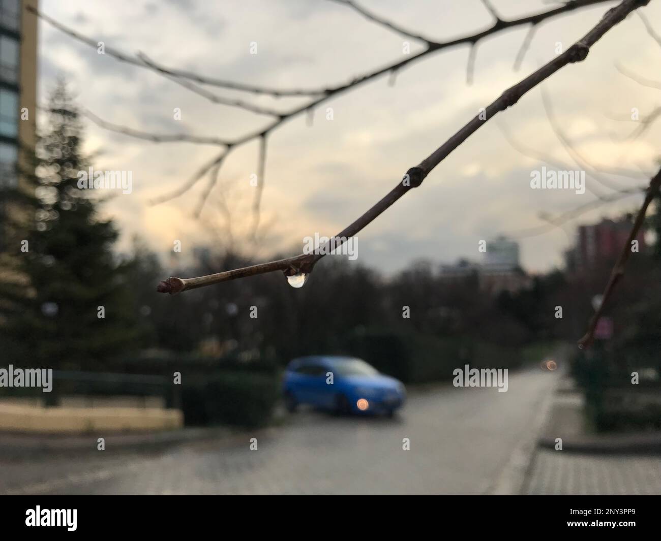 Raindrop silhouette hi-res stock photography and images - Alamy