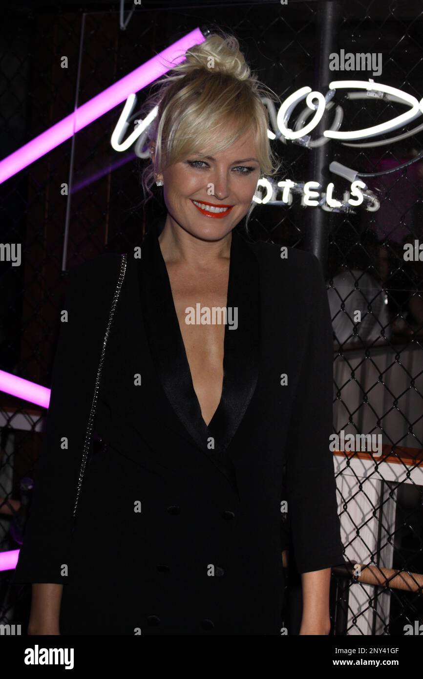 Photo by: Victor Malafronte/STAR MAX/IPx201710/25/17Malin Akerman at ...