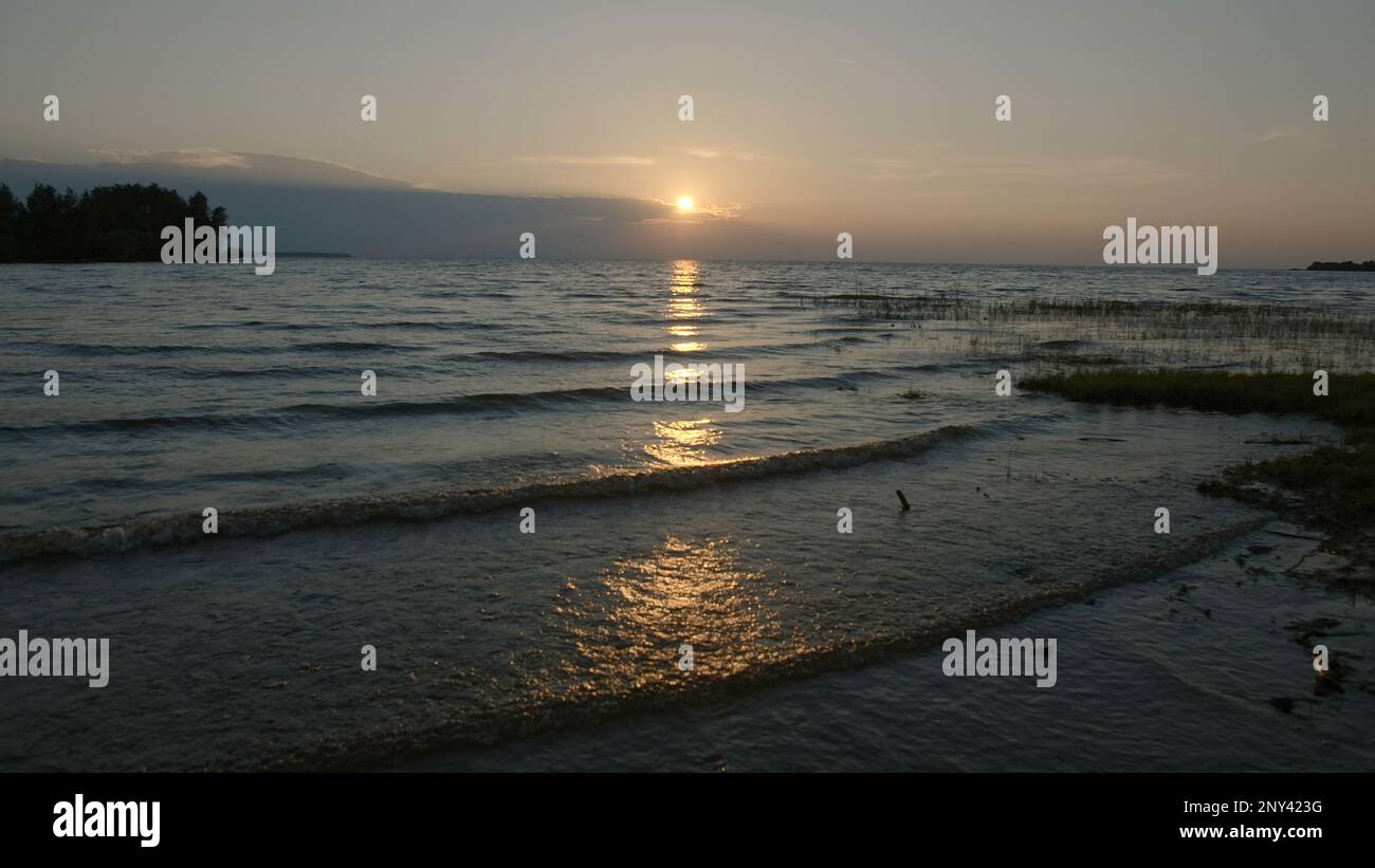 Grass and mud in shallow water with sunset. Creative. Grass in shallow ...