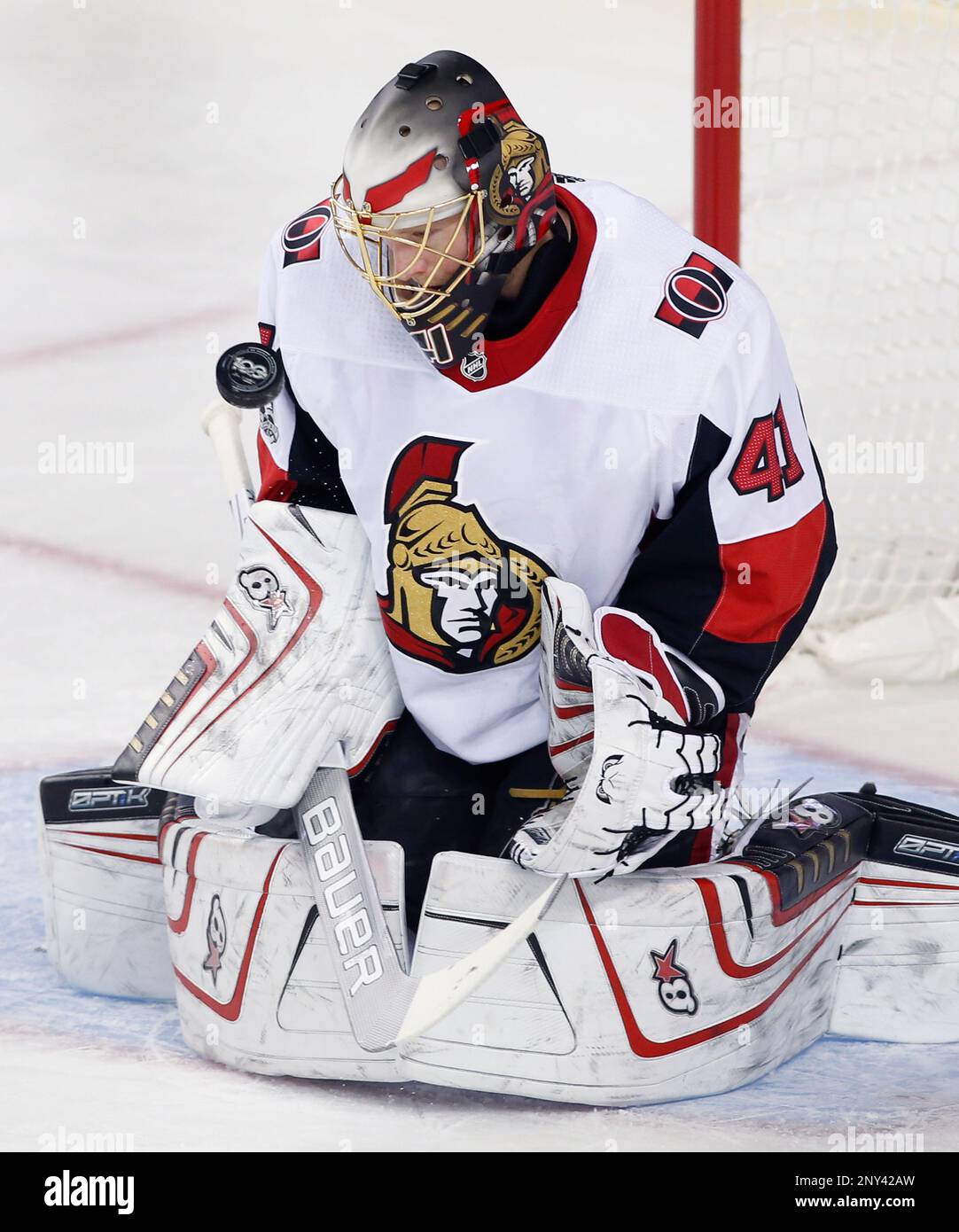 NHL profile photo on Ottawa Senators goalie Craig Anderson at a game ...