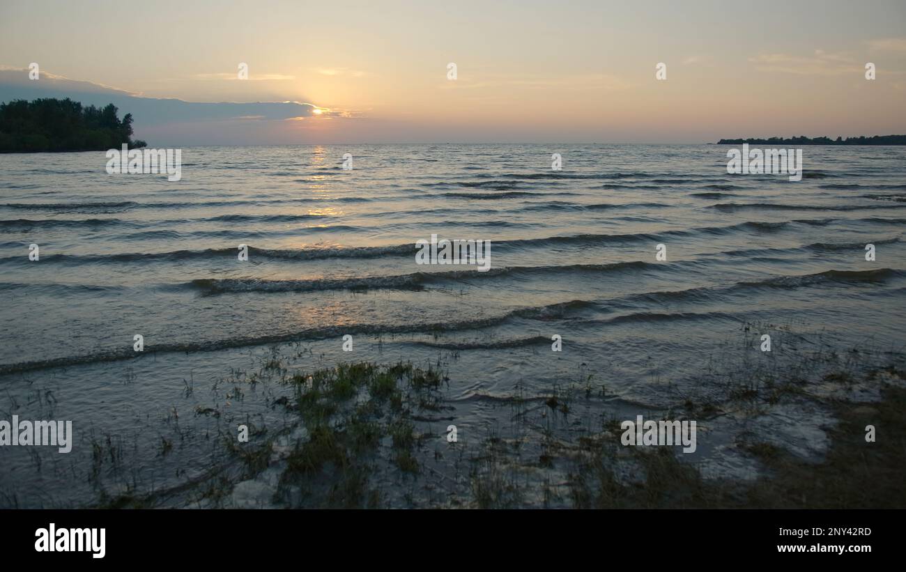 Grass and mud in shallow water with sunset. Creative. Grass in shallow ...