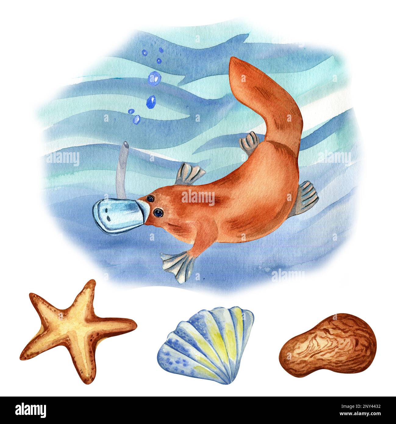 Cartoon platypus swimming watercolor illustration isolated on white ...