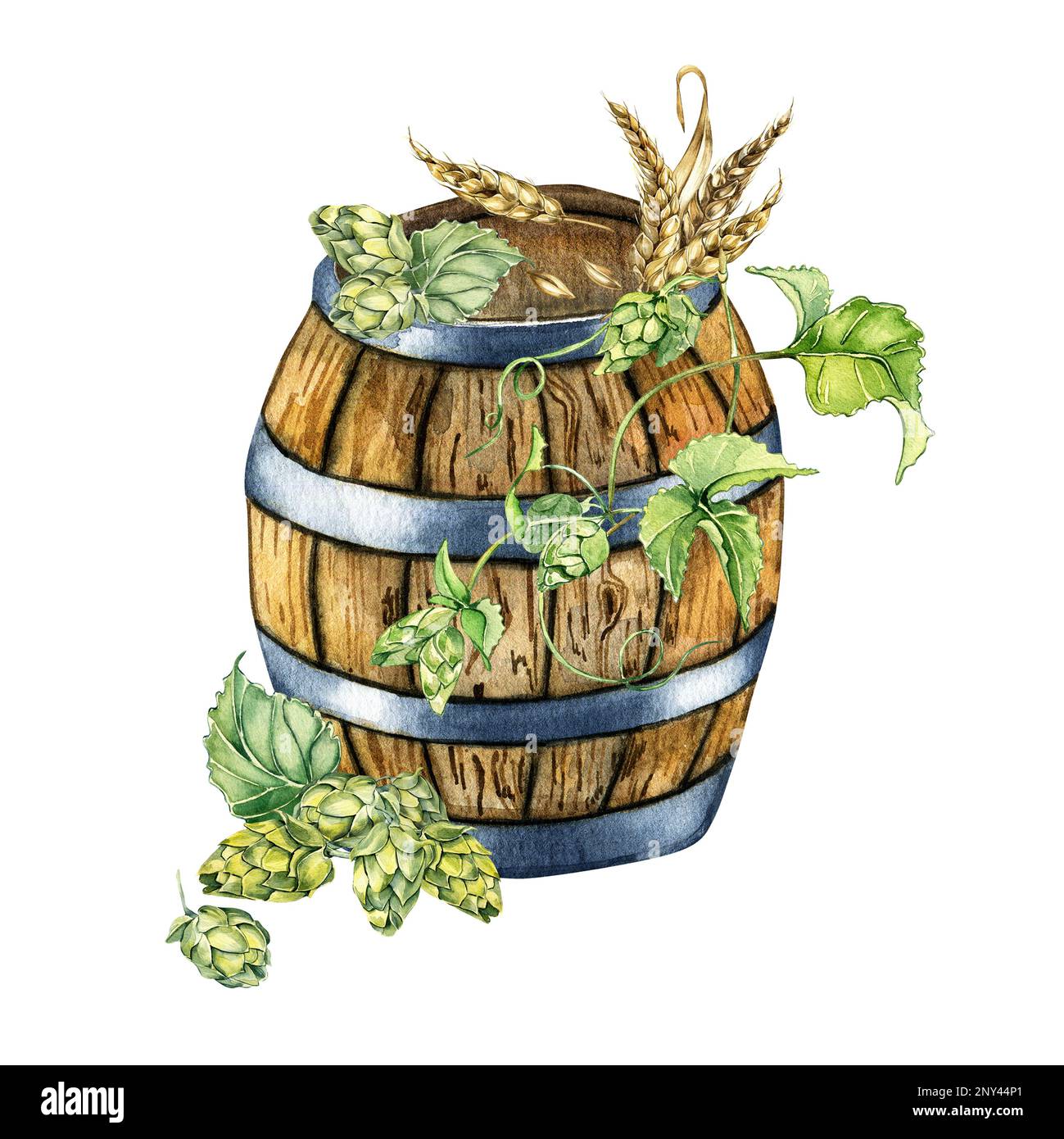 Wooden Beer Barrel And Hop Vine Wheat Ear Watercolor Illustration