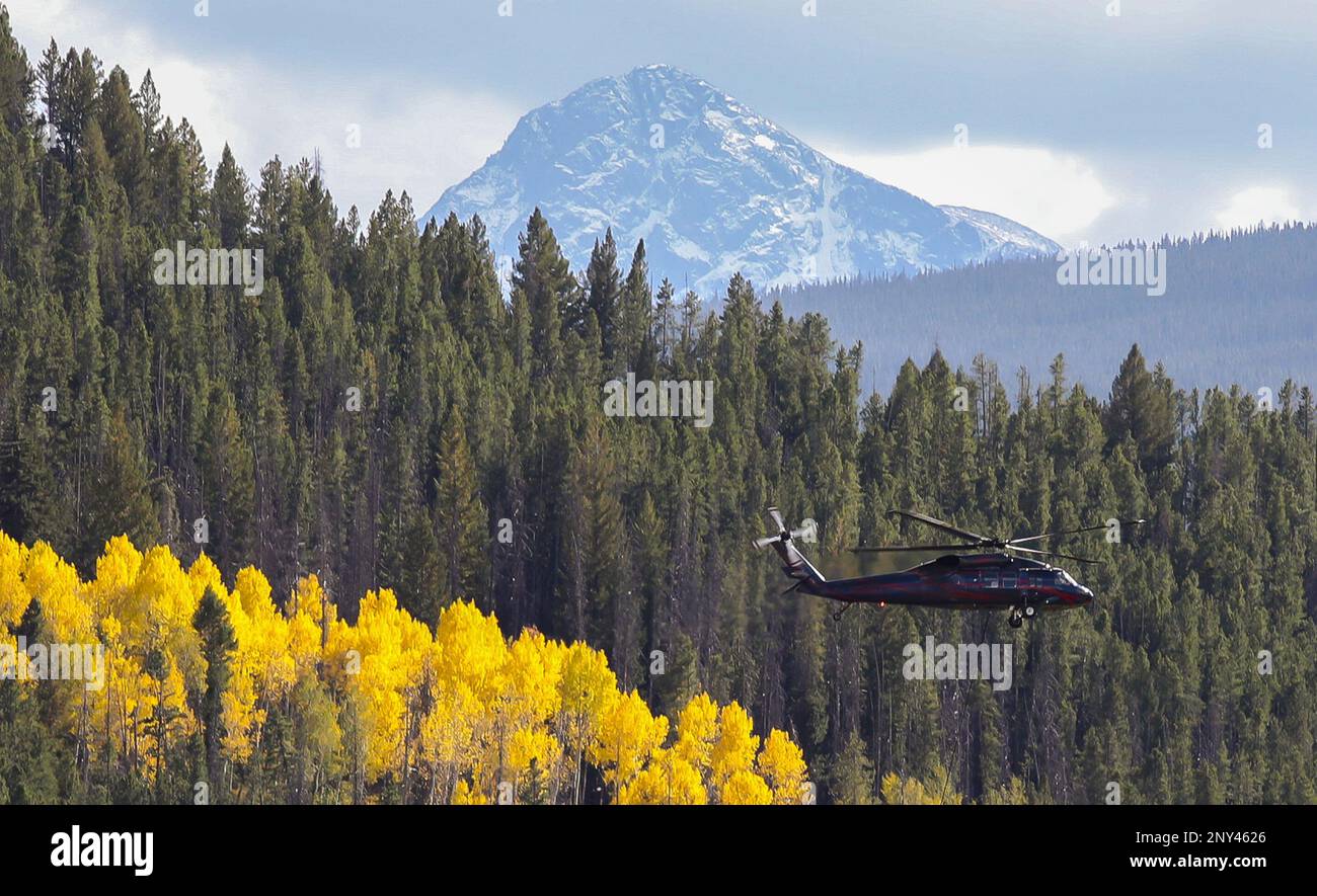 A helicopter transports logs during a logging operation Friday, Sept ...