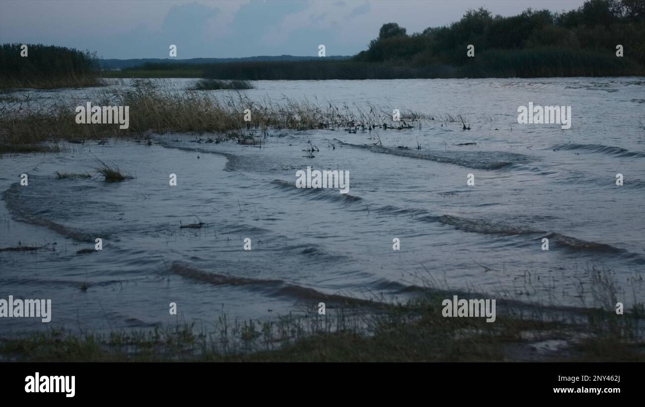 Waves on shallow water of lake beach. Creative. Small waves on village ...