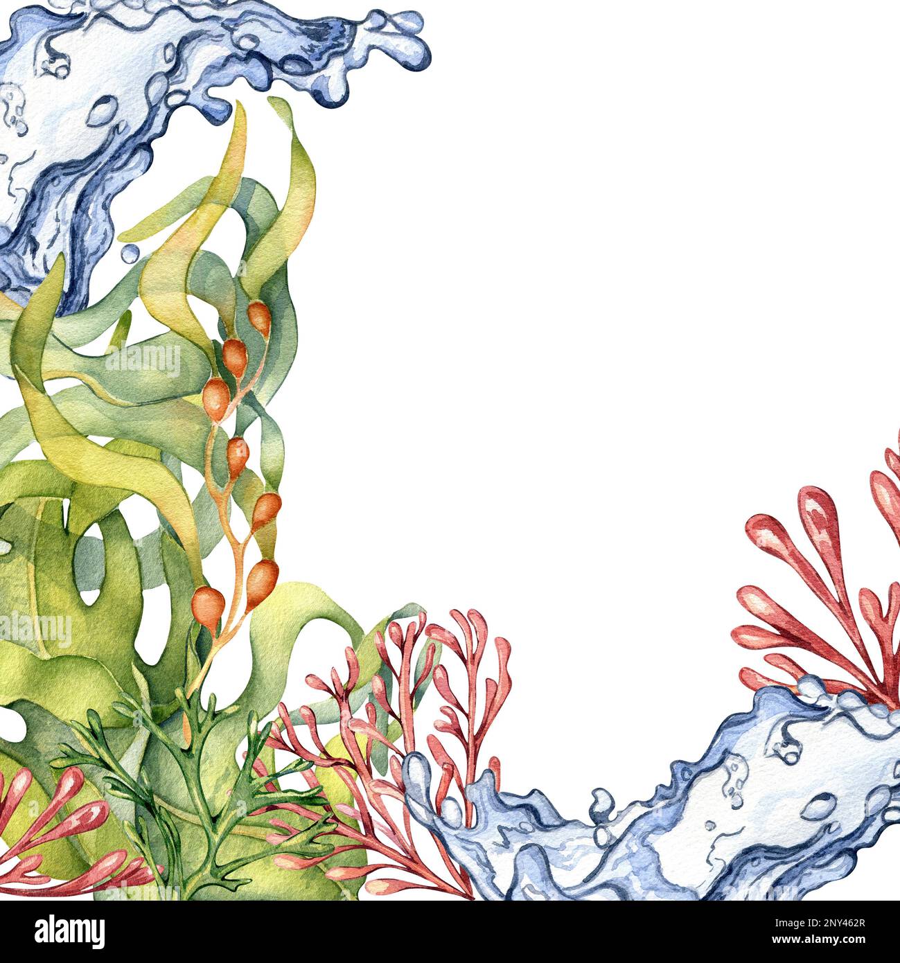 Frame of colorful sea plants watercolor illustration isolated on white ...