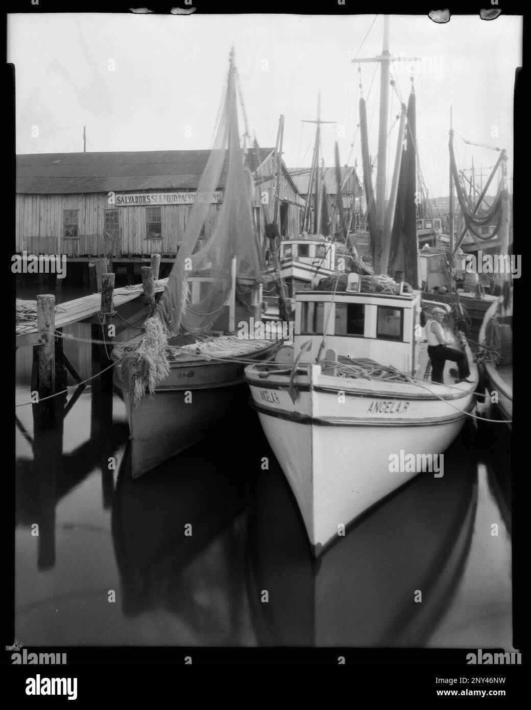 Shrimp fleet in harbor, St. Augustine, St. Johns County, Florida ...