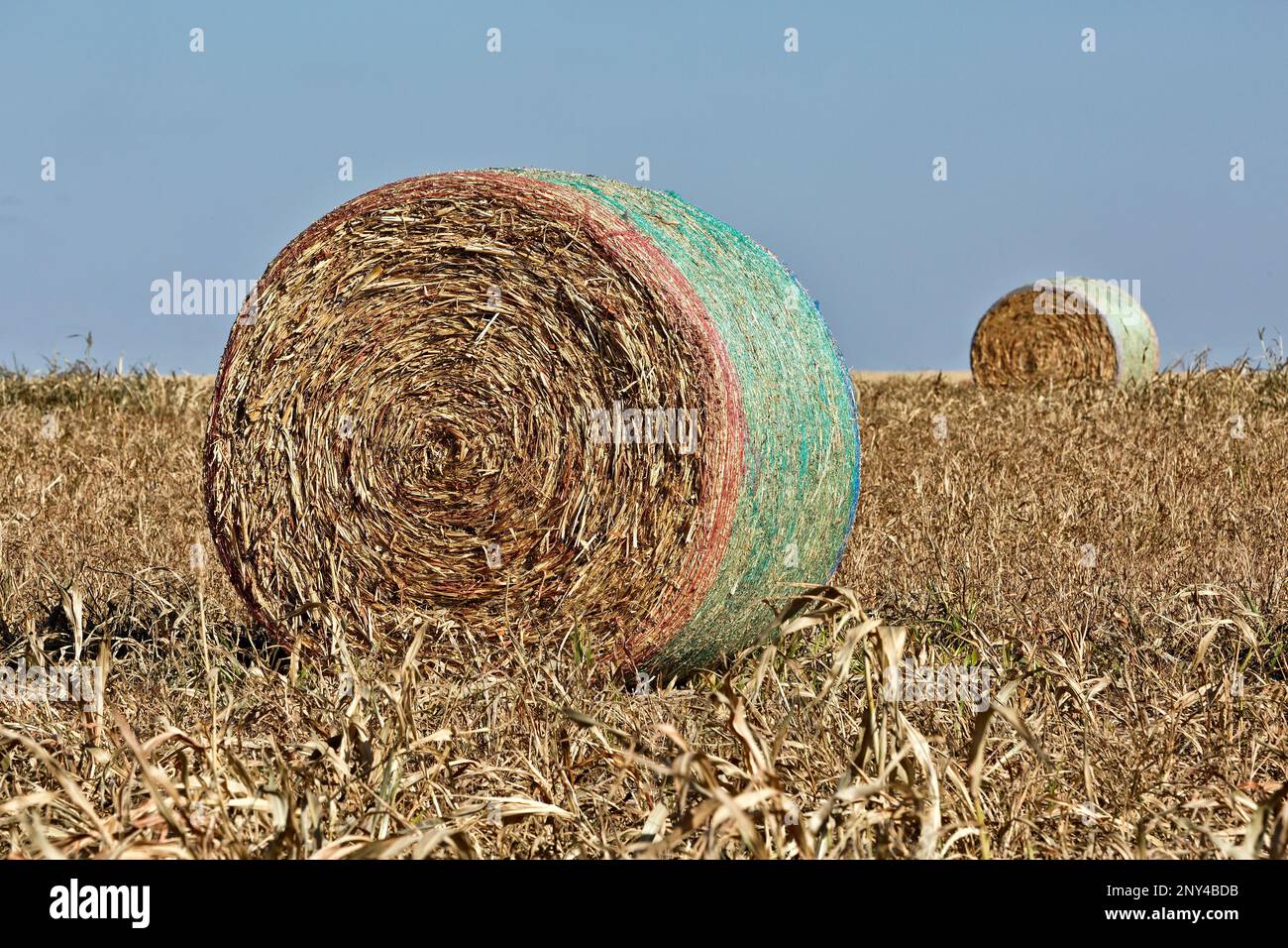 Mesh wrapped bales hi-res stock photography and images - Alamy
