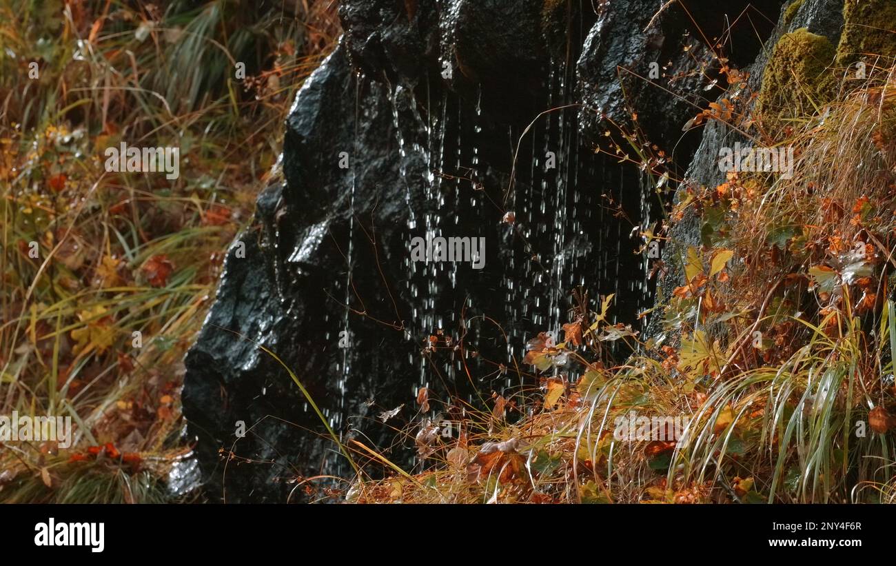 Drops of water flow down stones with autumn grass. Creative. Vertical ...