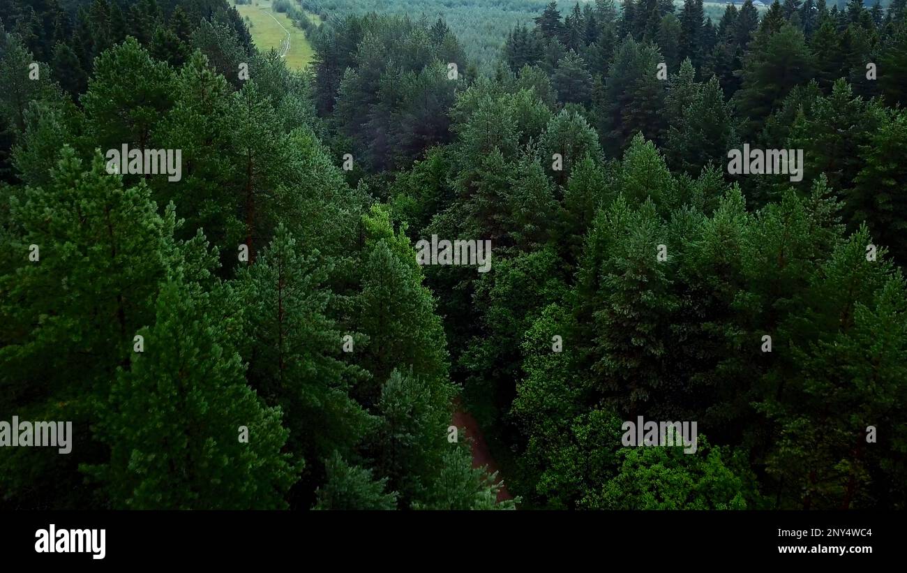 Birds eye view 4k hi-res stock photography and images - Alamy