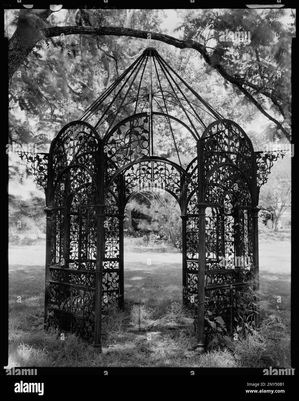 Mount Airy, Warsaw vic., Richmond County, Virginia. Carnegie Survey of ...