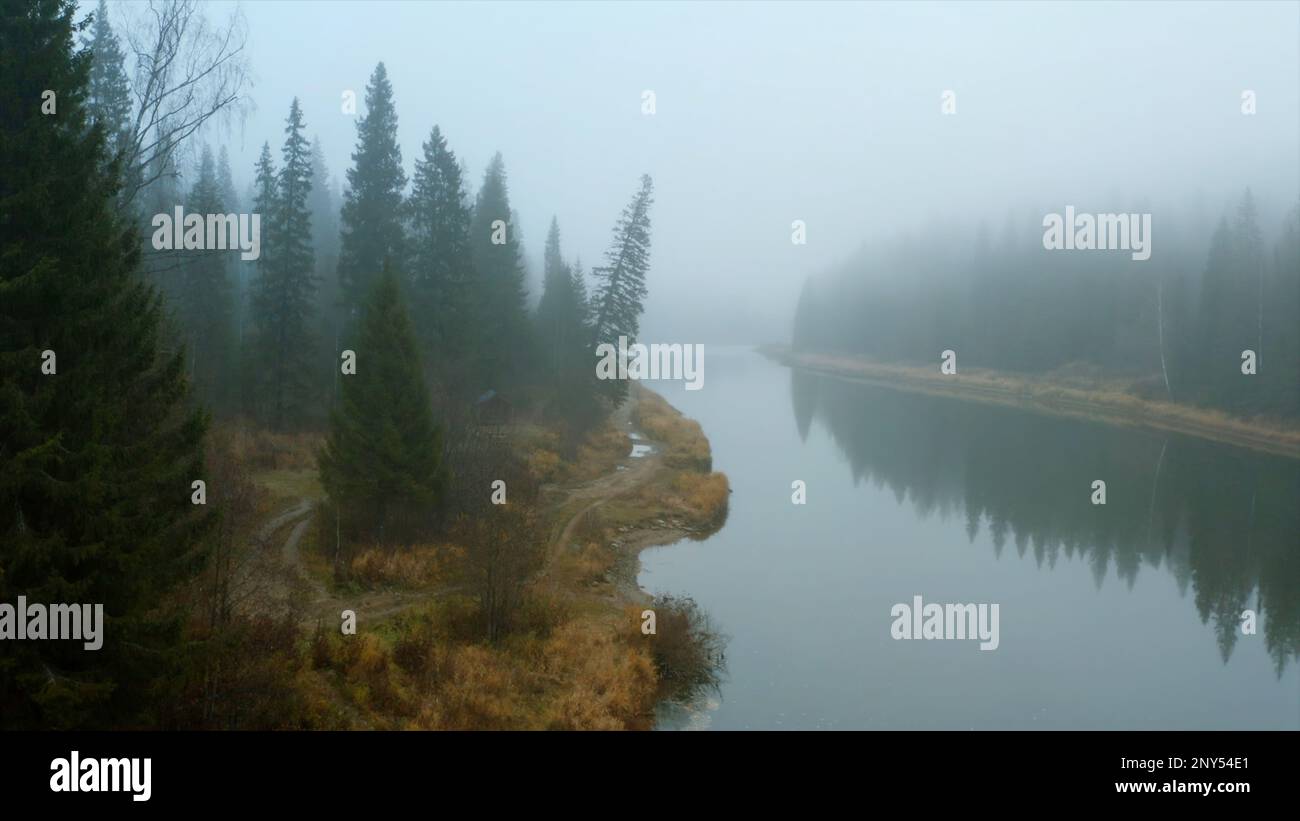 Beautiful cinematic footage pine forest hi-res stock photography and ...